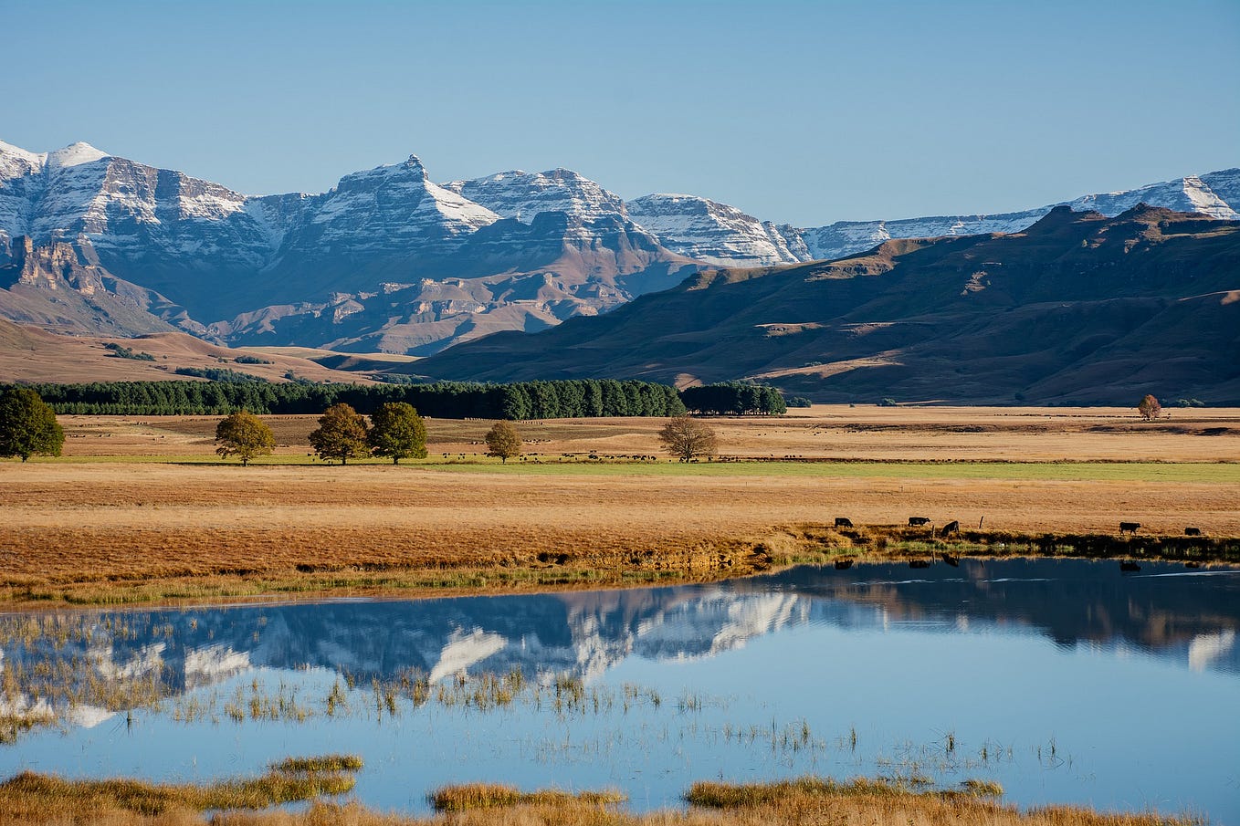 Bridge Design Pattern Java | The Code Bean | Medium