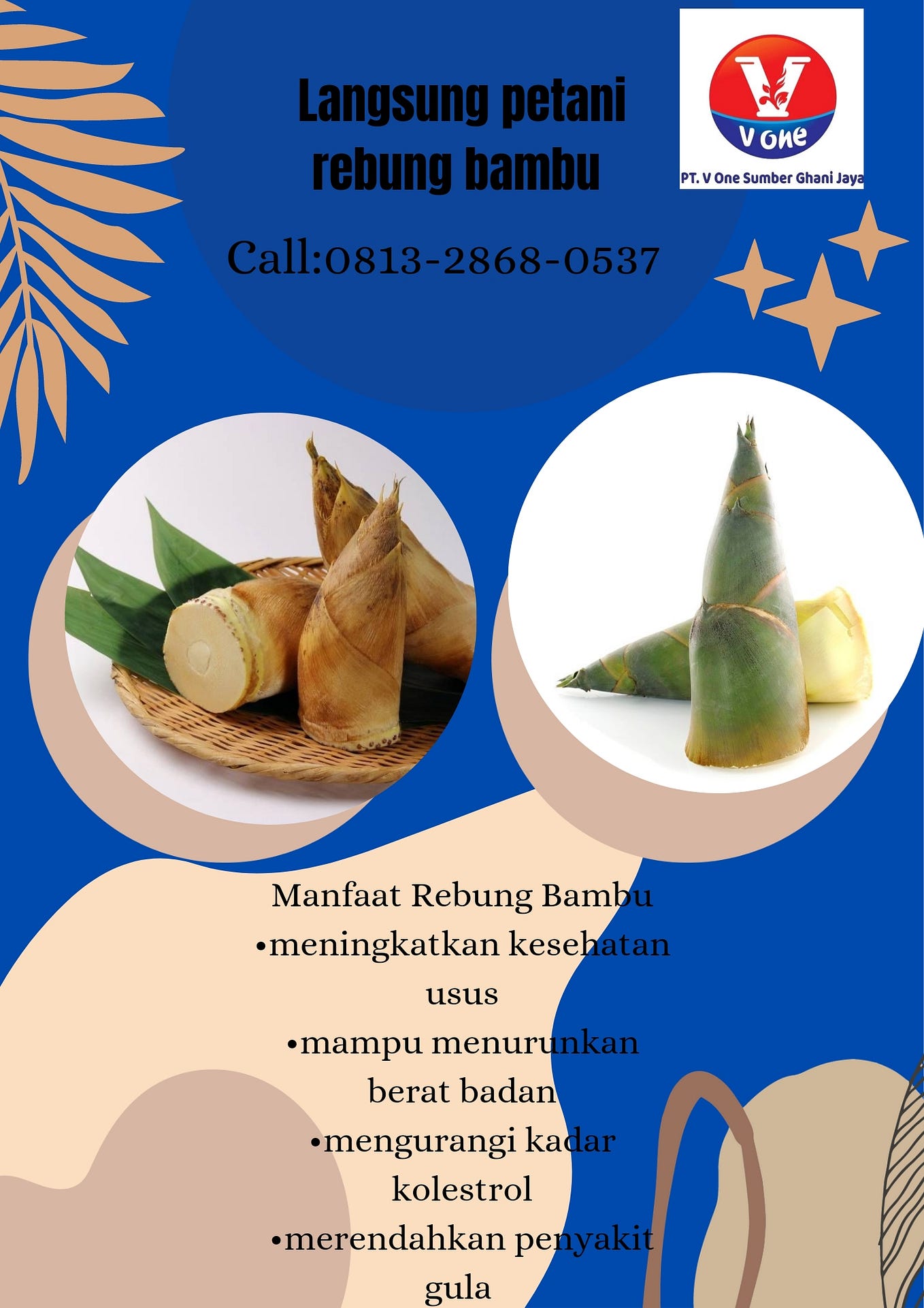 Pusat Budidaya Herbal Rebung Bambu Betung Tambak Bayumas ...