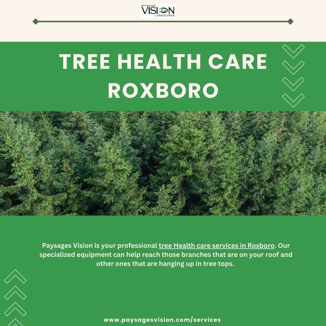 Expert Tips for Tree Trimming and Removal: Enhance Your Landscape with ...