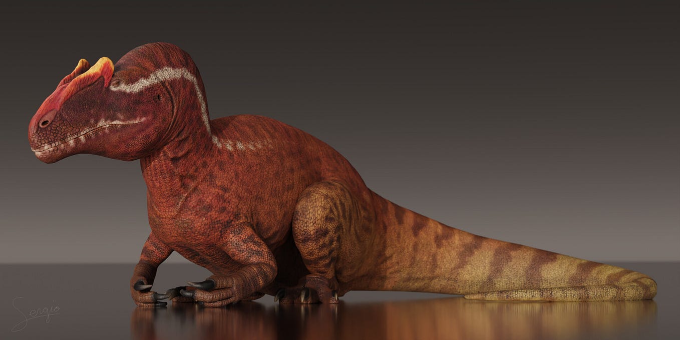 Barinasuchus: The Largest Terrestrial Predator of the Cenozoic | by ...