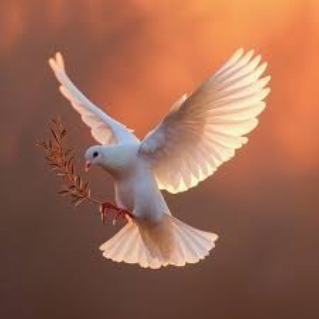 Peace Restored (Part Two). I will no longer talk much with you… | by ...