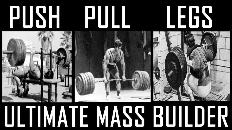 Why is Calf Strength Important and Why Do You Train Calves? | by FIT ...