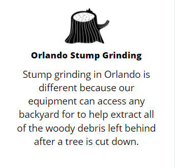 How to Remove a Tree Stump-Orlando Stump Grinding ...