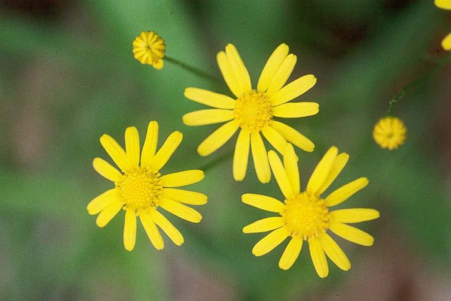 Optimizing Python Backend Development: A Comprehensive Guide to Best Practices and Tools | by ...