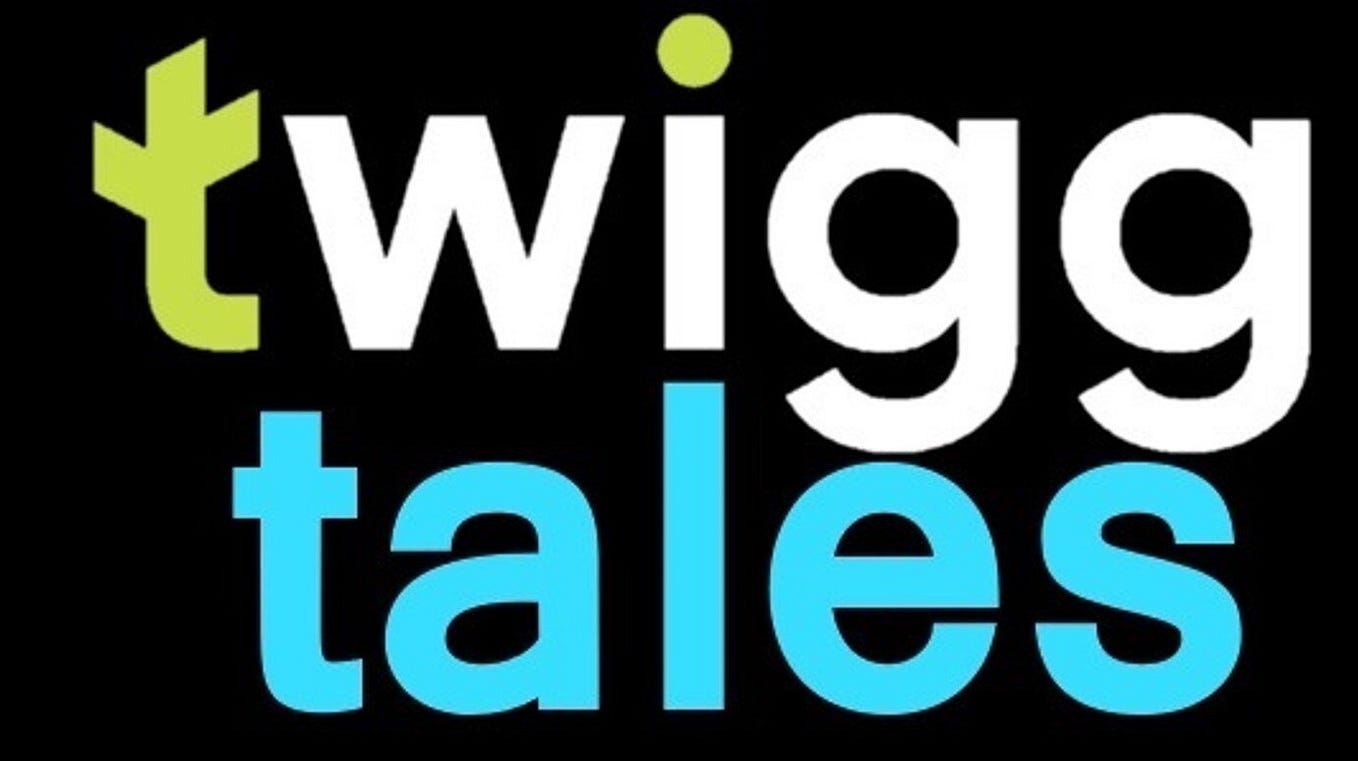 Twigg Recap: onboarding creators, TwiggTales, and new faces | by Twigg ...