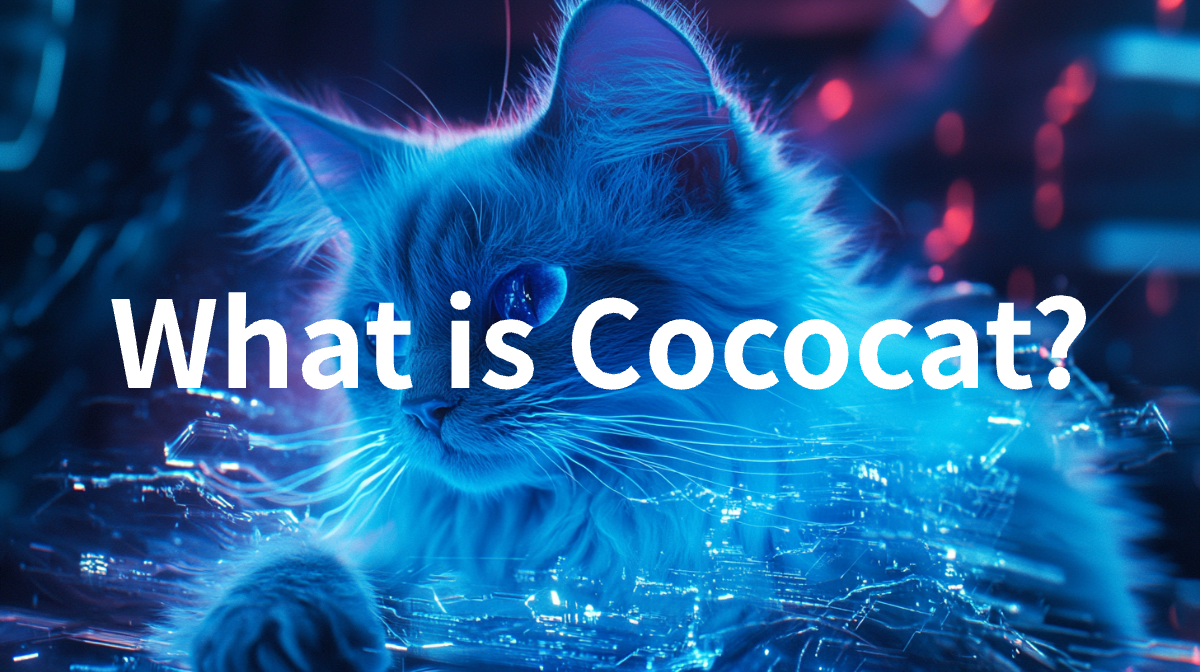 CocoCat: The Future of Decentralized Communication and Infrastructure ...