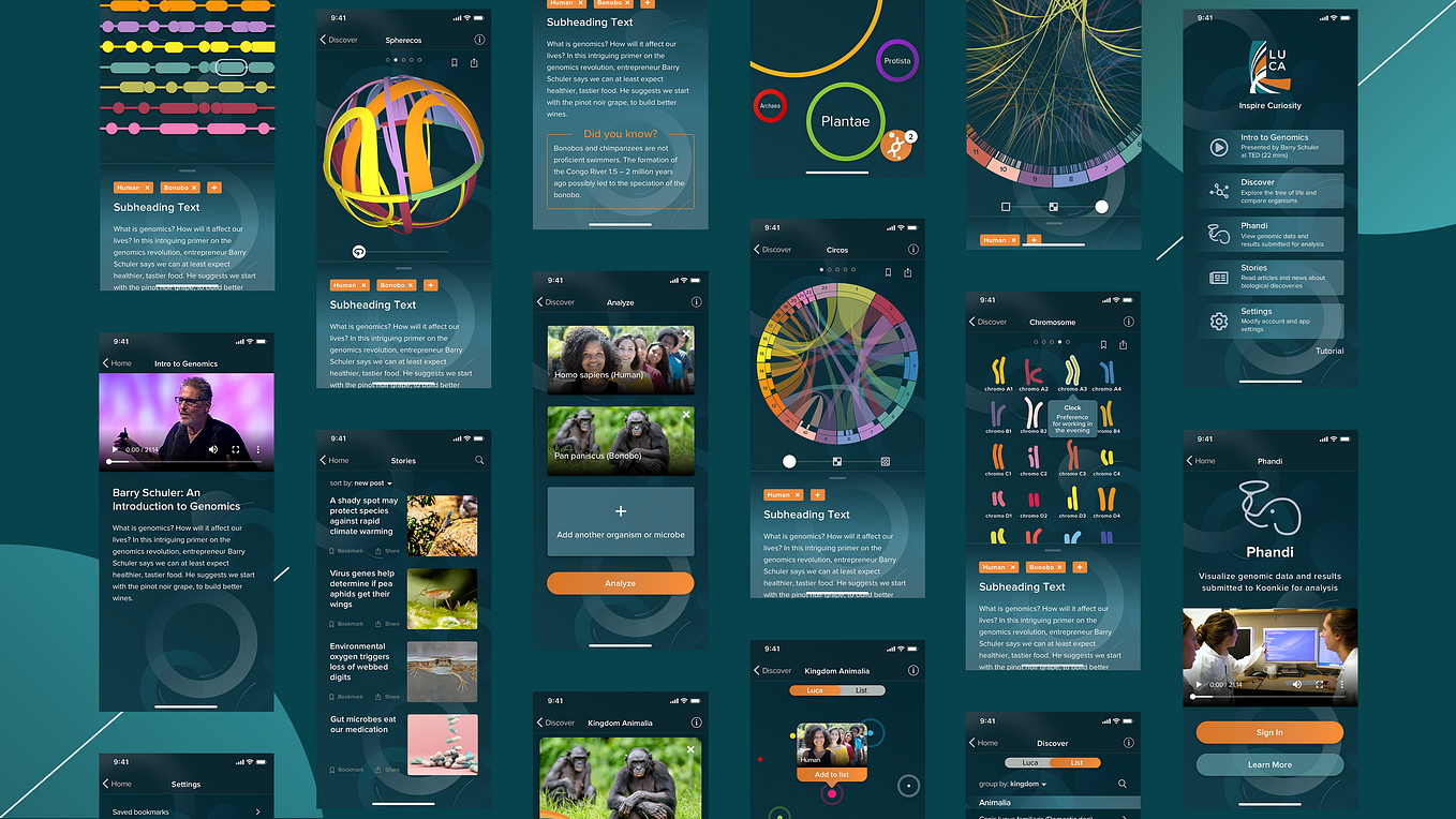 Case Study: Proxima Nova Type Specimen | by Max Chung | Medium