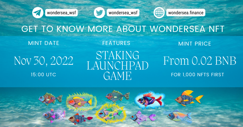 #WonderSea #Airdrop #Updates - Wondersea Finance - Medium