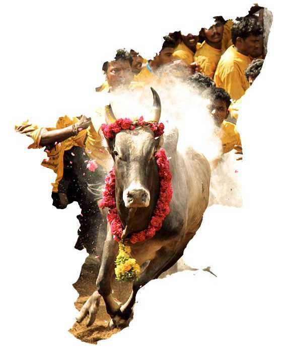 Cash word Origin and Etymology - Tamil desiyam - Medium