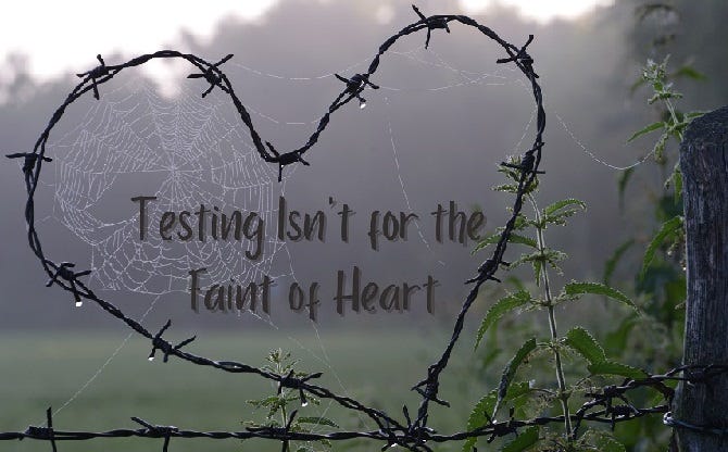 Understanding Software Errors: From Bugs to Glitches | by Elena Voevodkina | Dec, 2024 | Medium