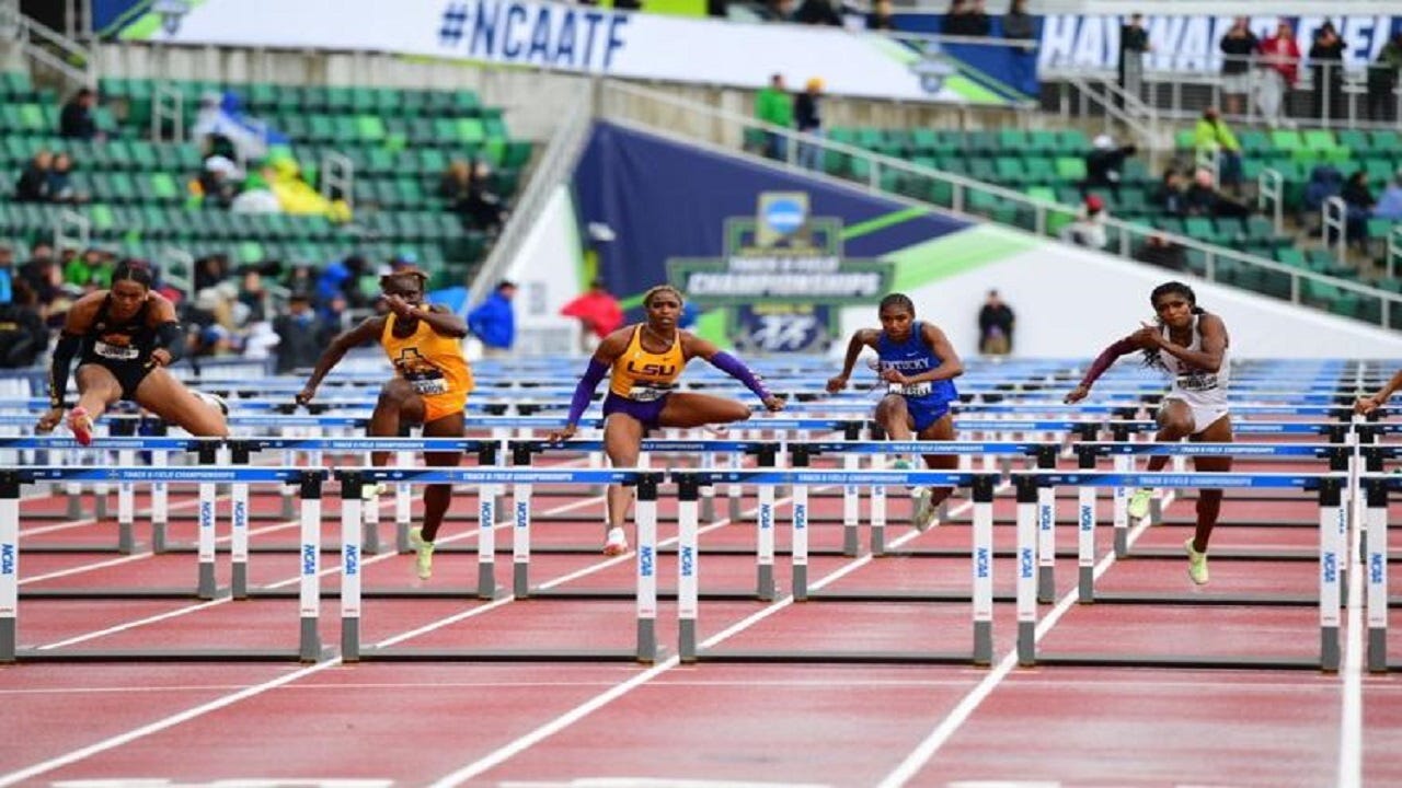 🔴LIVE STREAM!» the Bayou track and field meet | (Live 2024) Live ...
