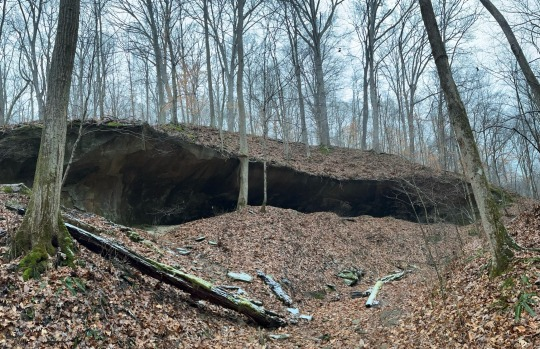 Knobstone Trail. Part 1/3 of the Indiana Triple Crown… | by Lauren ...