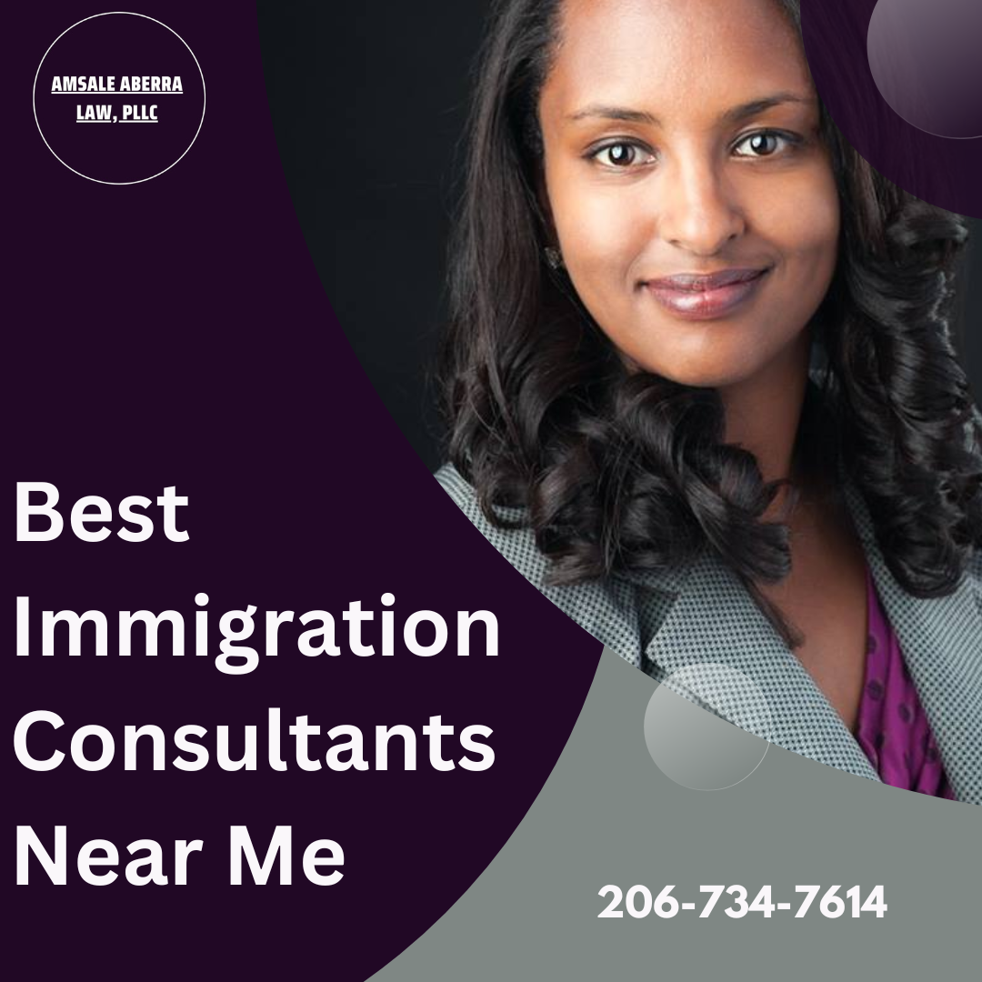 Navigating the Complex World of Immigration with Lawyer Amsale Aberra ...