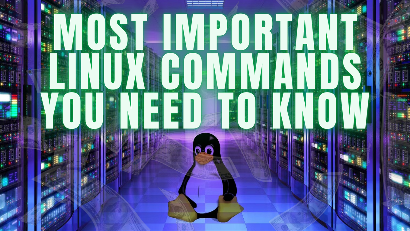 A Year Of Consistent Leetcode 🏆 This Is My Consistent Coding For The By Dhanush N Level Up