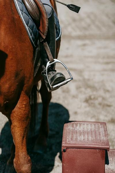 Guide to Buying Used Saddles. Investing in the right saddle is… | by Tate Backlinks Ltd | Medium