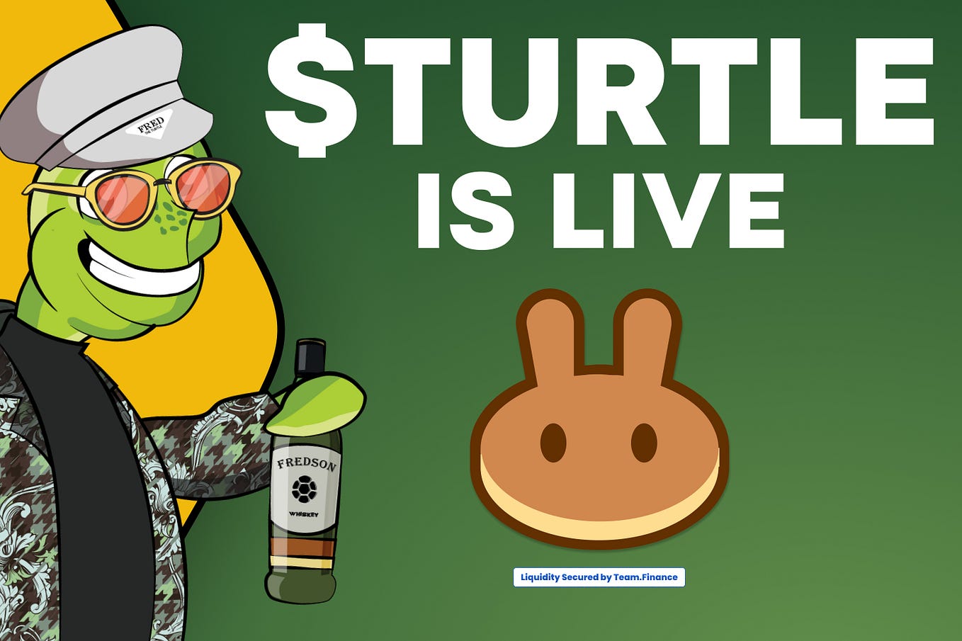 Fred The Turtle’s Launch. The Presale Summary! | by The BNB Turtle | Medium