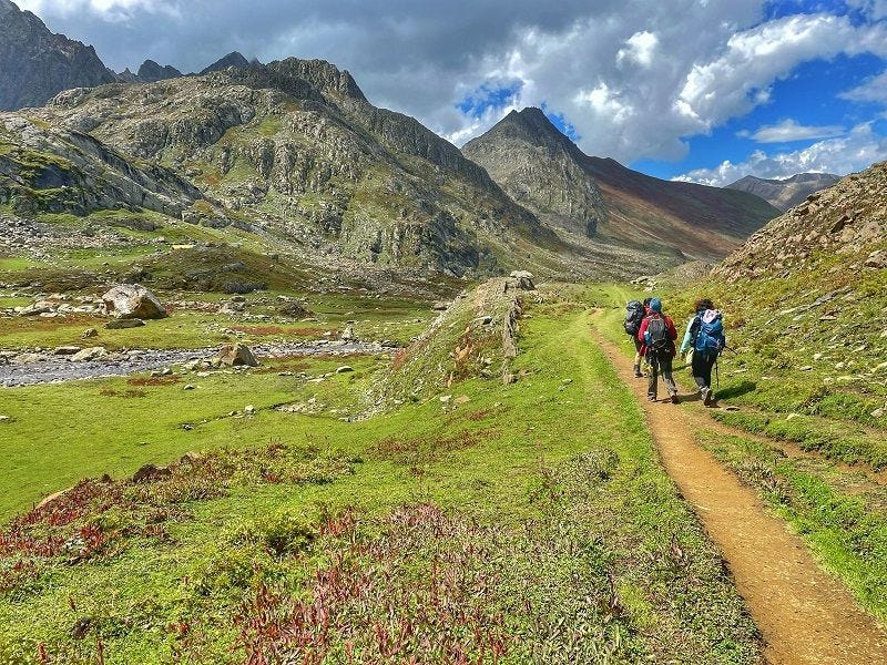 The Mythical Majesty of Hornbills: Exploring Their Cultural Significance in Folklore | by Open ...