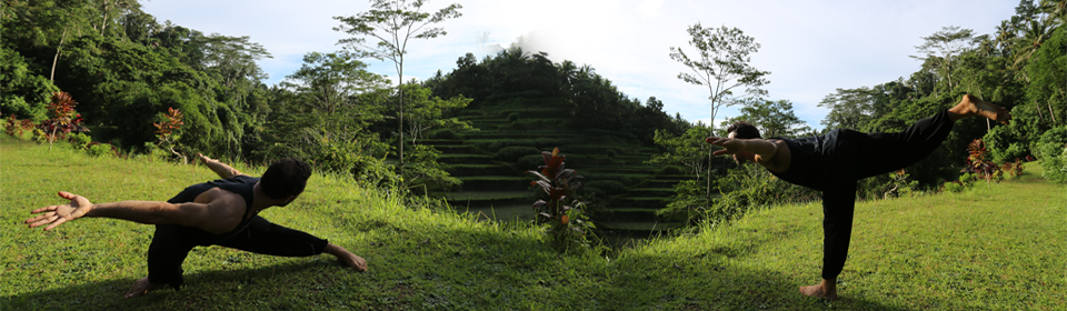 The Three Dantians — How Do They Relate to Qigong? | by white tiger ...