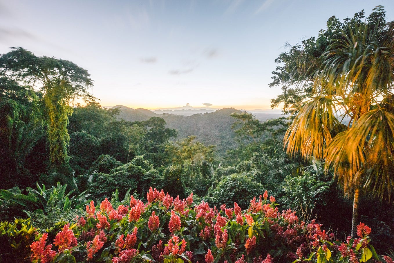Revealed: Tenerife’s Top 8 Hidden Treasures | by Terracotta Travel ...