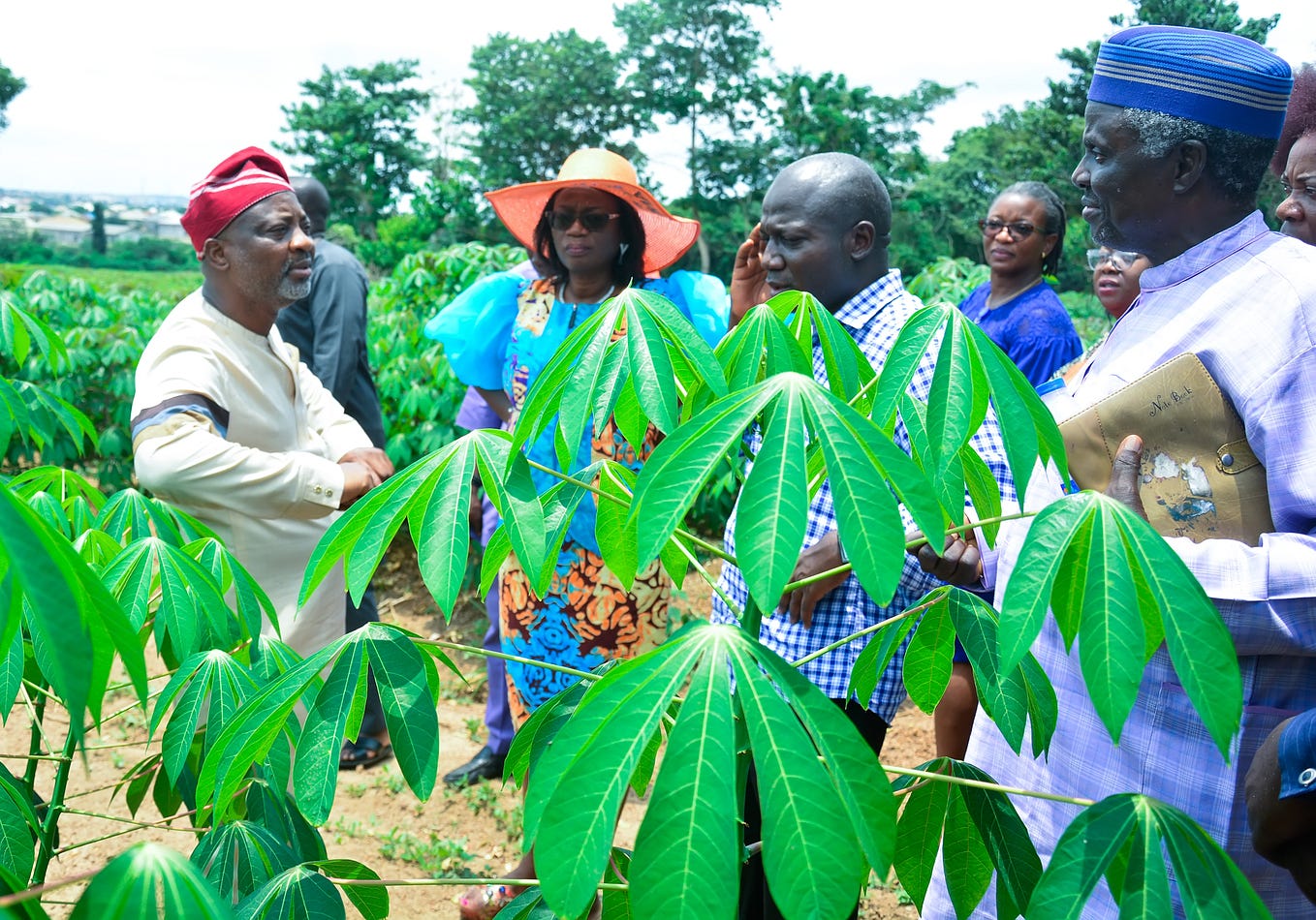 NSPRI Trains 22 Potential Agripreneurs on Production of Value-added ...