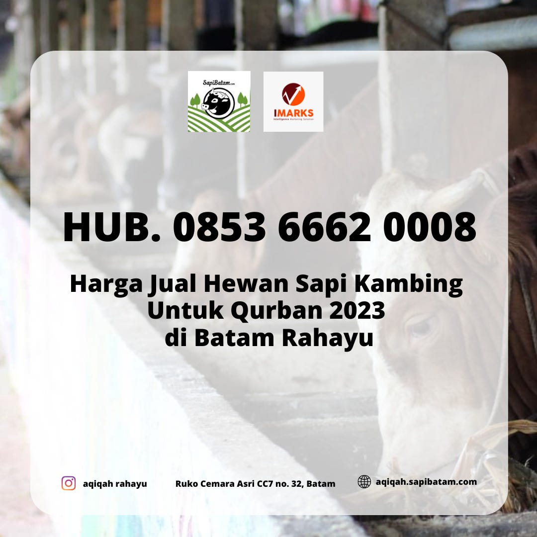 Hub. 0853 6662 0008, Harga Sapi Kurban 2023 di Batam Sapi Rahayu Batam | by Harga Sapi Kurban ...