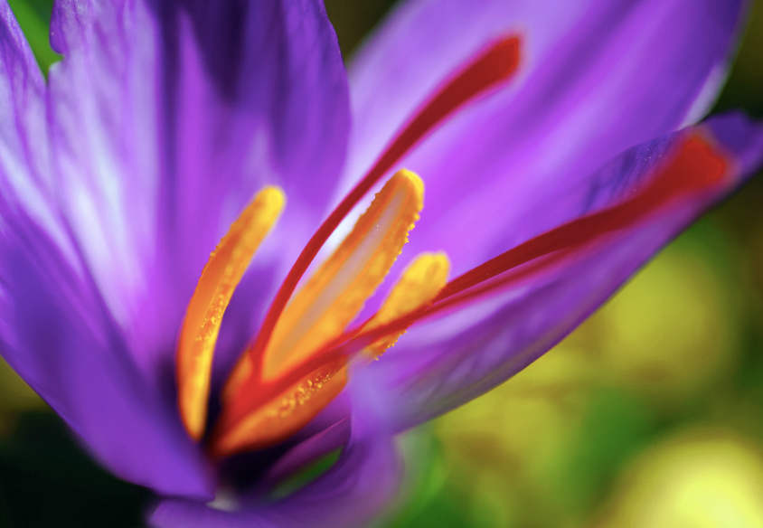 Federated Learning With Raspberry PI: Project Equipment Setup | by ...