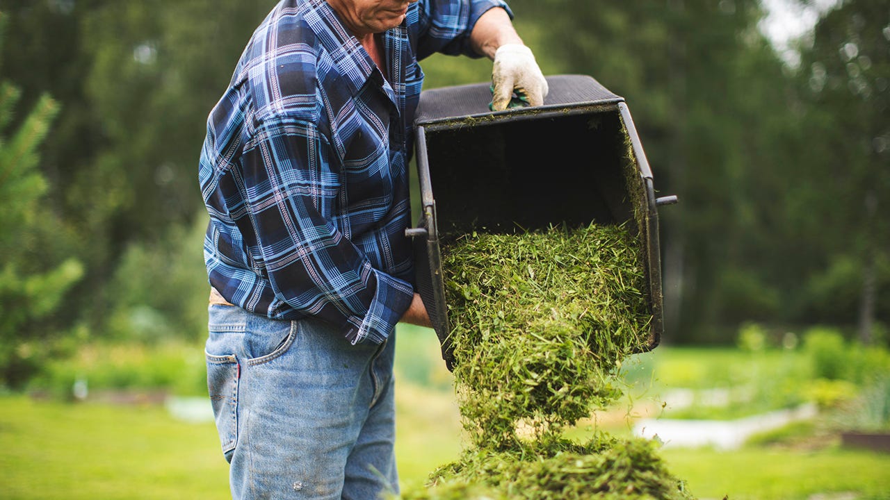 How can green waste removal help in reducing garden mess? | by Your ...