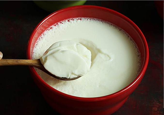 10 Delicious Hung Curd Recipes. Hung Curd is an excellent low fat… | by ...