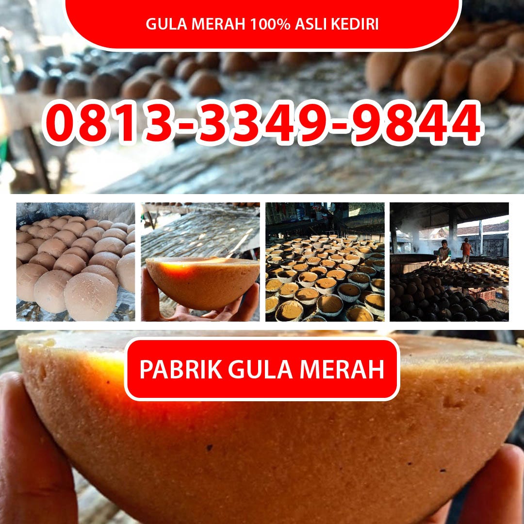 WA OWNER 081333499844 Gula Merah Obat Maag - Pabrikgulamerahkediri - Medium