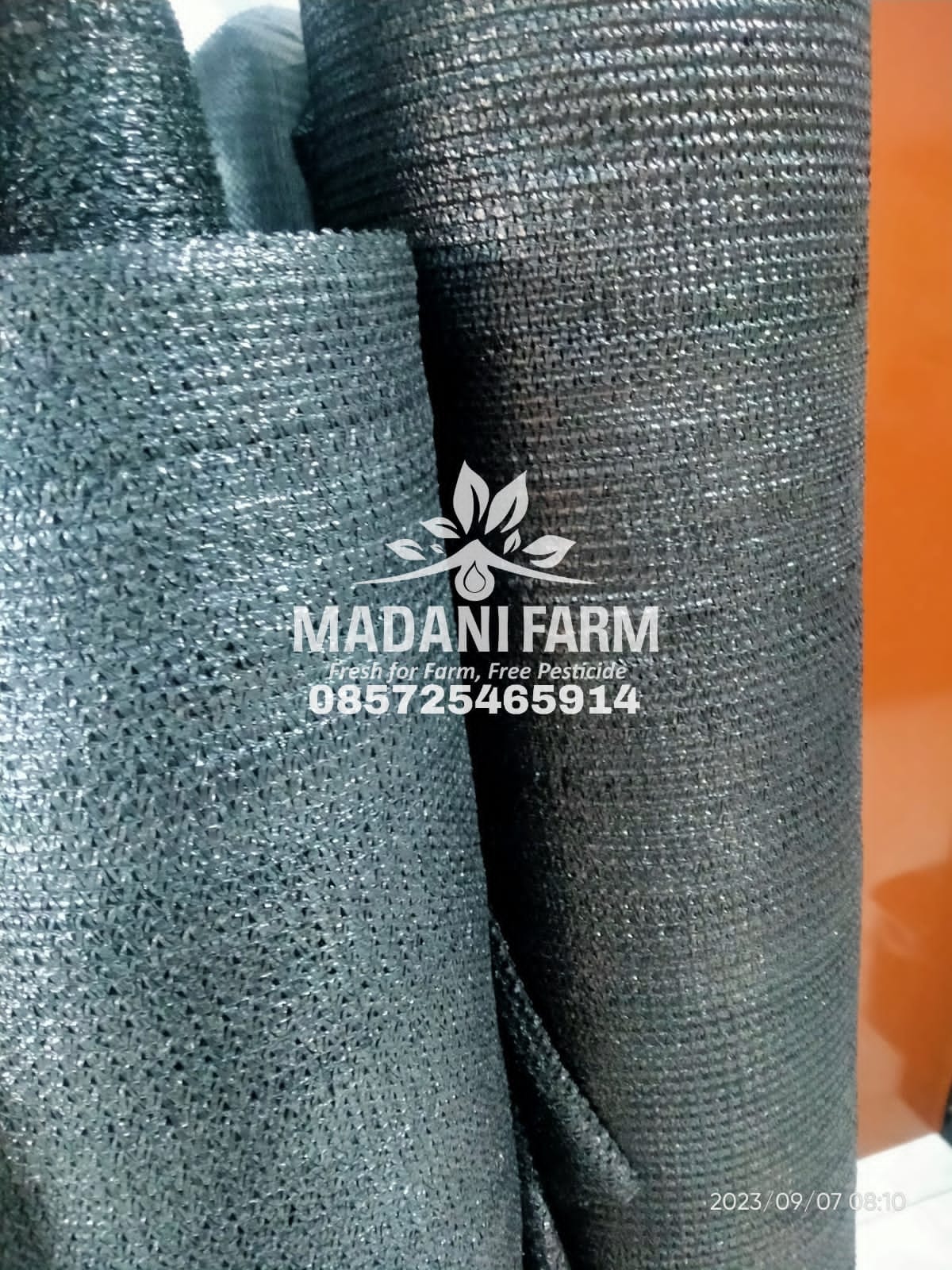 IMPORTIR & DISTRIBUTOR PARANET/JARING HITAM TANAMAN | HP/WA : 0856.4752 ...