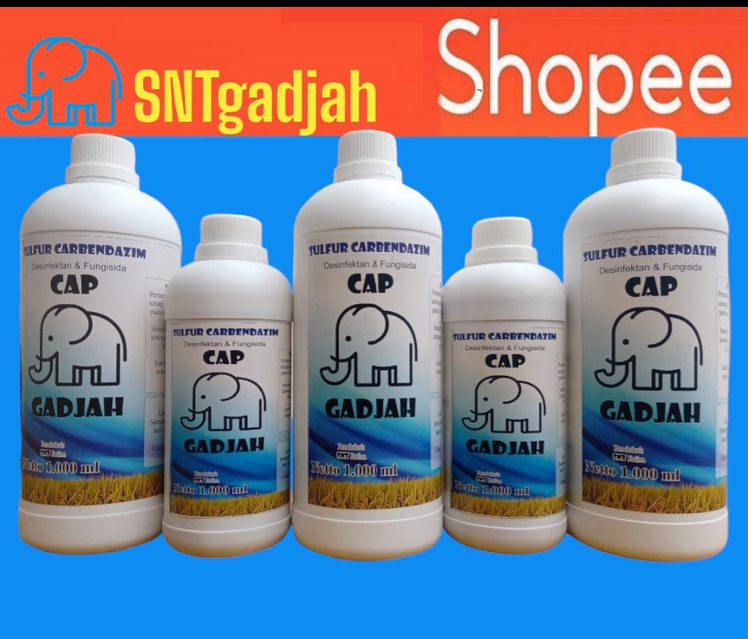OBAT SEMPROT PENGHILANG BAU AMONIA KANDANG CAP GADJAH | by DESINFEKTAN CAP GADJAH | Medium