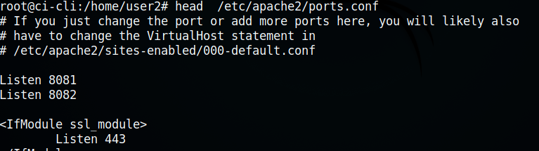Creating a personal assistant: A Raspberry Pi journey | by Libia Lany ...