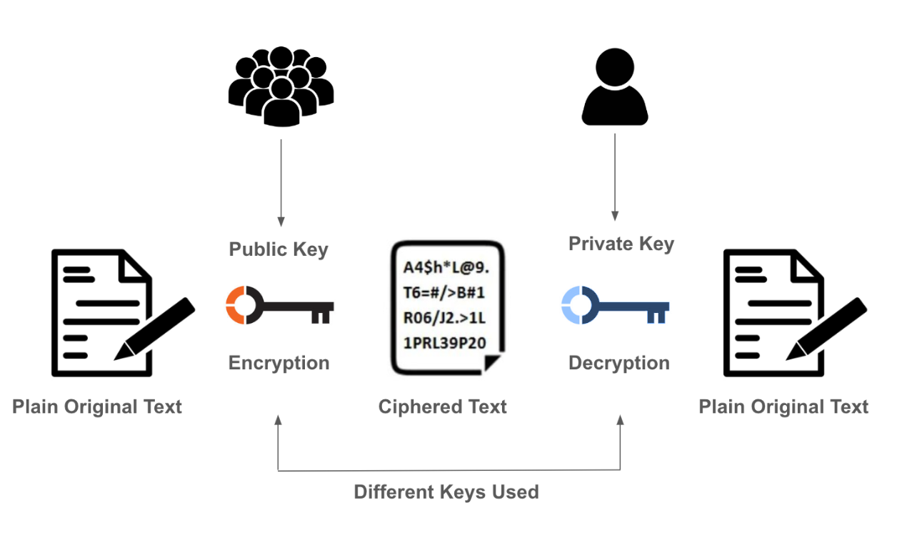 Update, FixedUpdate, and LateUpdate Methods | by Iddi Builds | Medium
