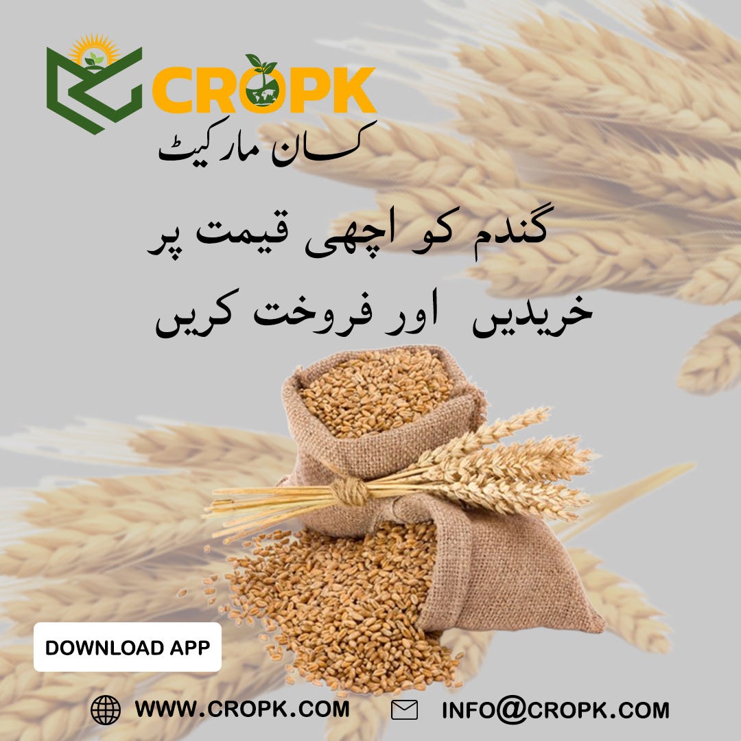 DOWNLOAD APP: https://play.google.com/store/apps/details?id=com.cropk.app&pcampaignid=web_share ...