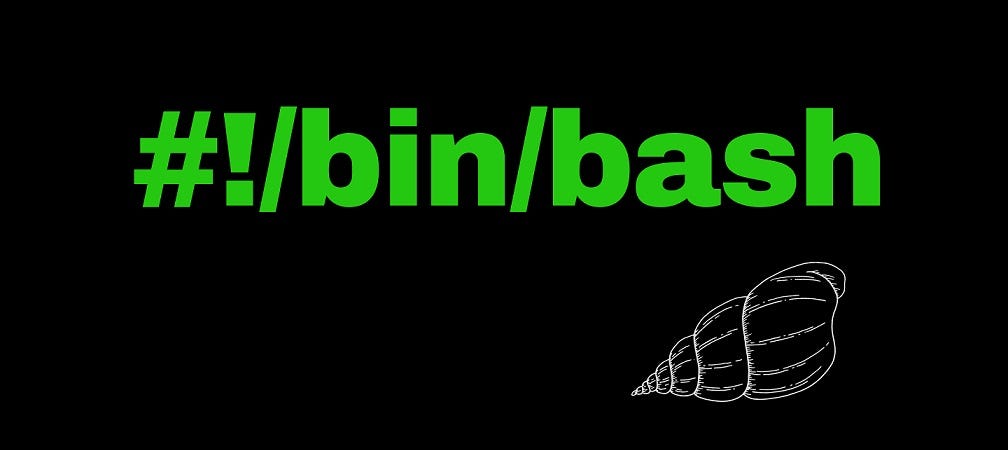 Working With Text In Shell Scripts A Guide For Testers By Elena