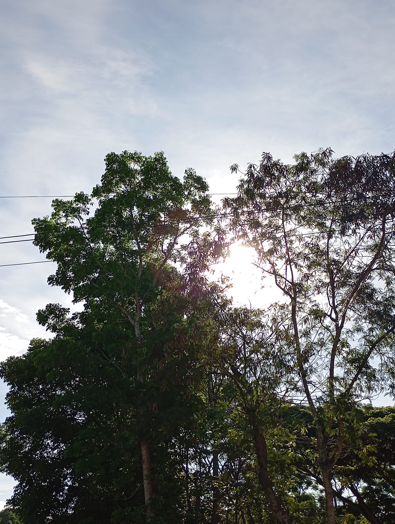 Sa Kanyang lilim: Sa bawat takip-silim at bukang liwayway | by amaezing ...