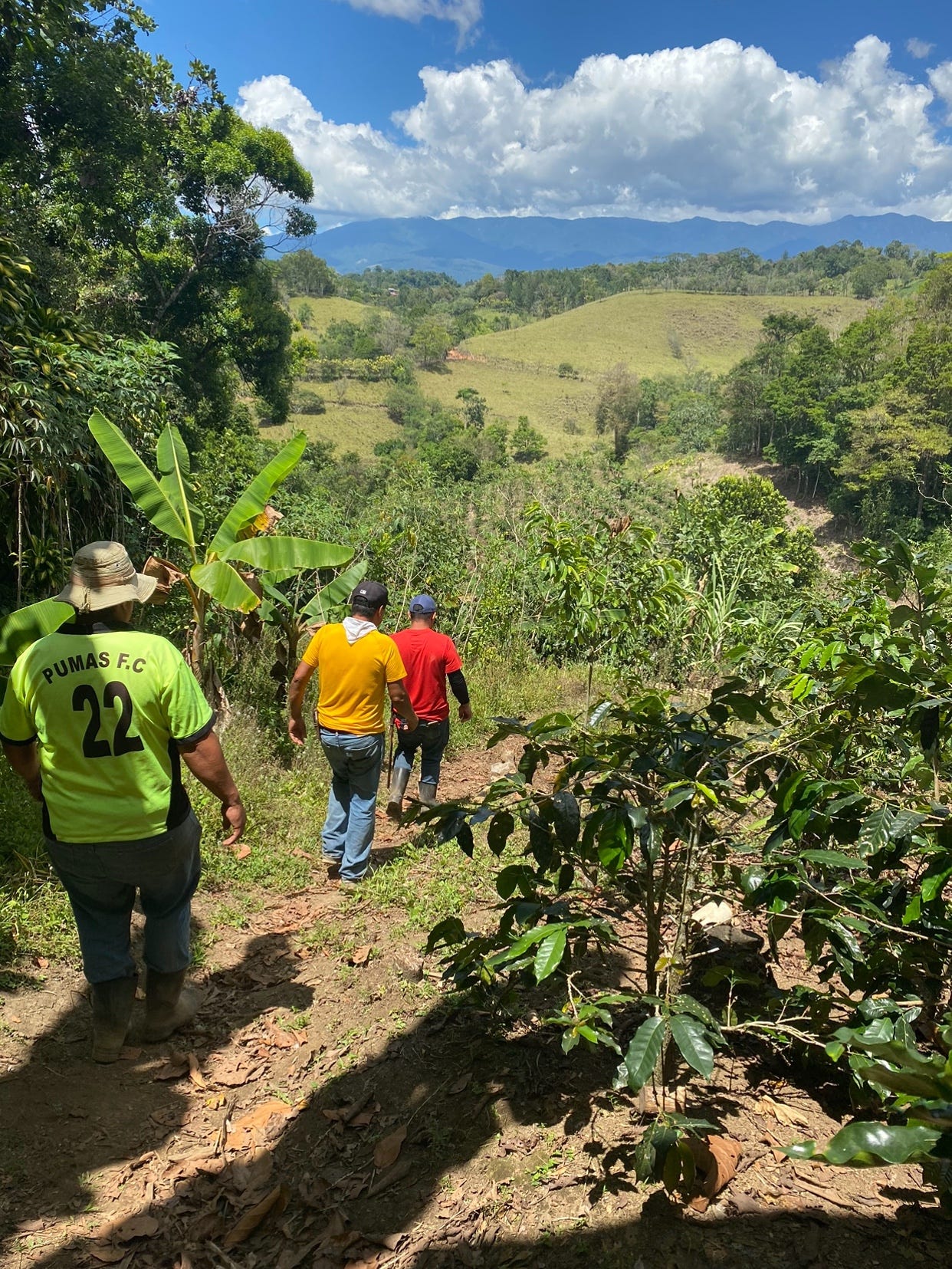 Manual Labor and the Art of Working Hard: Our Life in Costa Rica | by ...