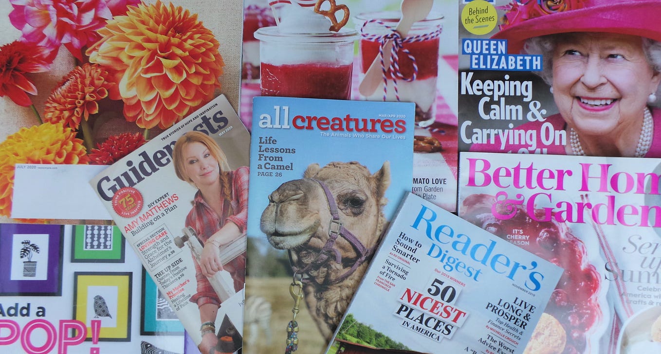 Prayer Pup Inspires Hope | by Beth Ann Burkey Lombardi | Medium ...