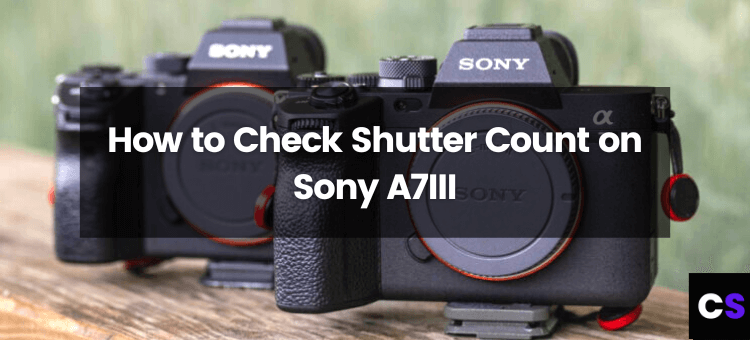 How To Zoom In Premiere Pro. Zooming in on Premiere Pro is a simple… | by Benard Kemp (Coach and ...