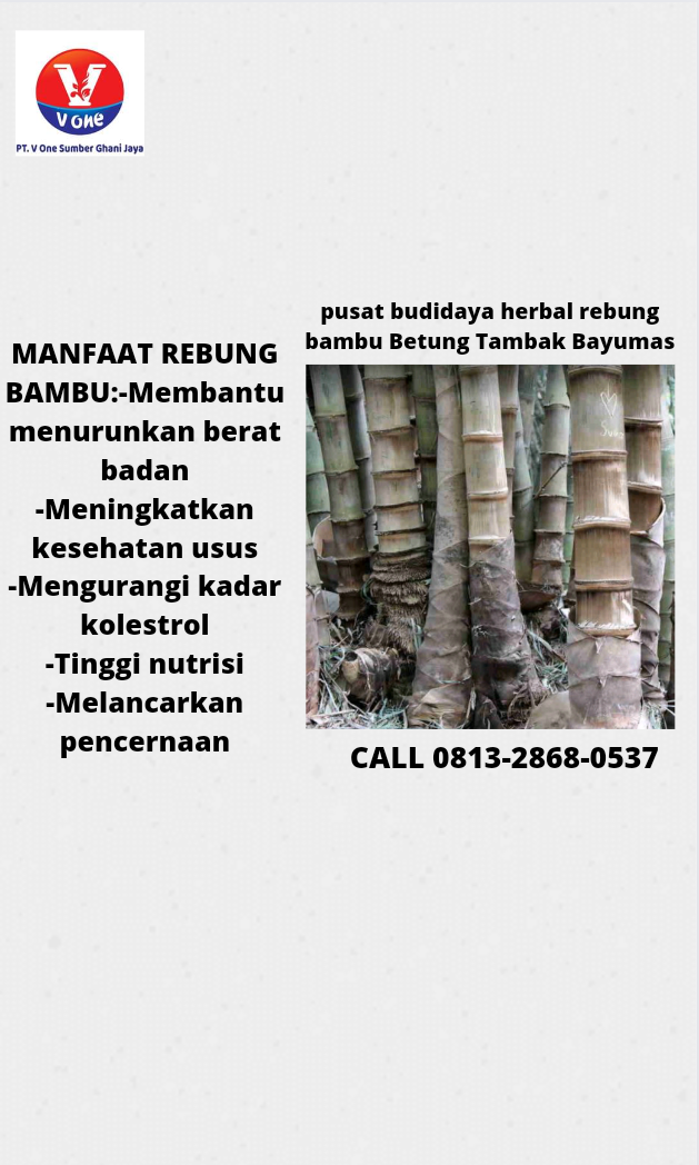 pusat budidaya herbal rebung bambu kuning Tambak Bayumas ...