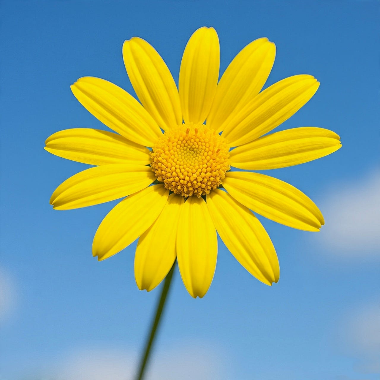 Ai is really helpful for us and it becomes important place in human ...