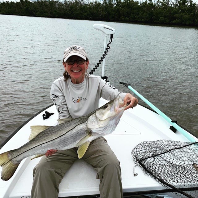 Florida Snook Fishing Study. Snook fishing is one of the best… | by ...