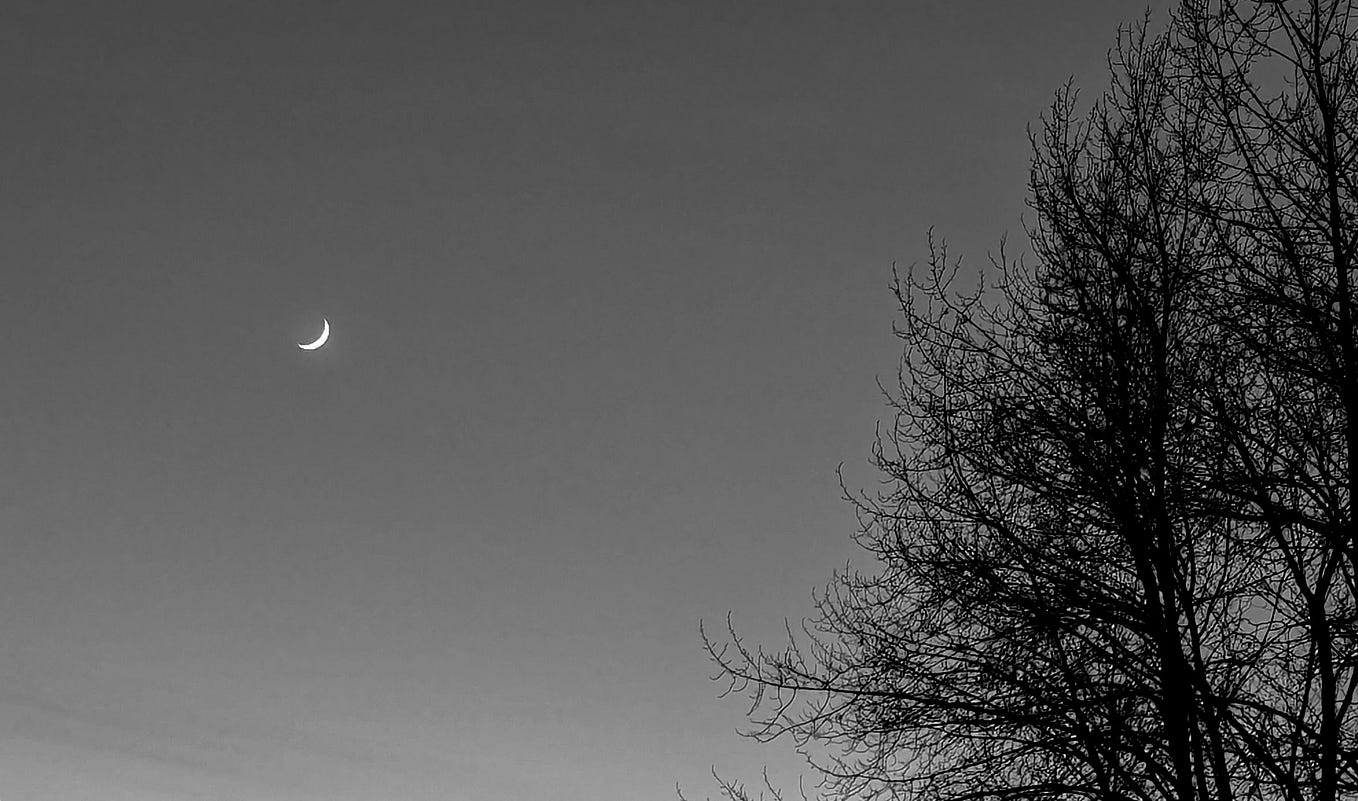 The New Gospel. by harilaos stefanakis | by Harry Stefanakis | Zen Poetry | Feb, 2025 | Medium