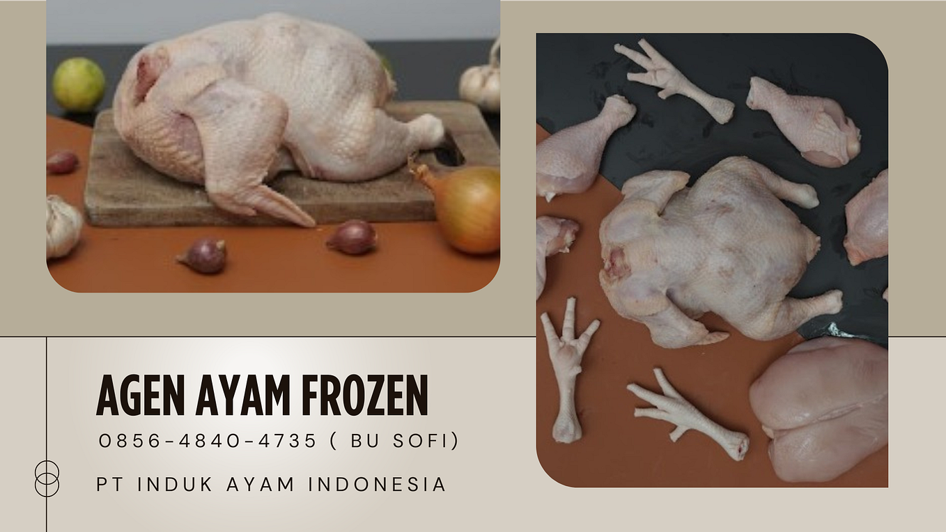 Gratis Ongkir 0856–4840–4735 Supplier Ceker Ayam Beku Frozen Untuk ...