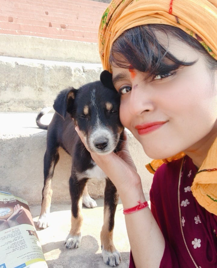 Welcoming Your Rescue Pet: A Guide to Creating a Lasting Bond | by ...