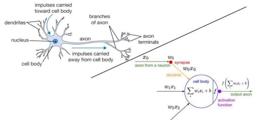 Machine Learning Classification Algorithms with Codes | by Esma Bozkurt ...