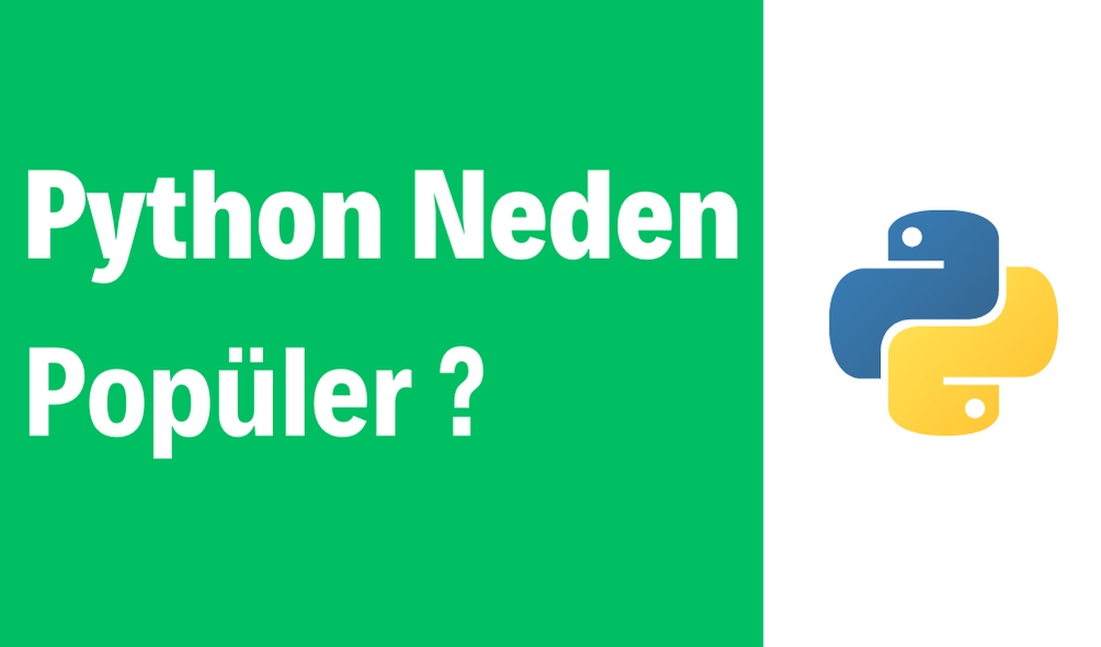 Yazılım& Programlama Nedir? Nasıl Yazılım Geliştiririm? | by Marivasoft ...