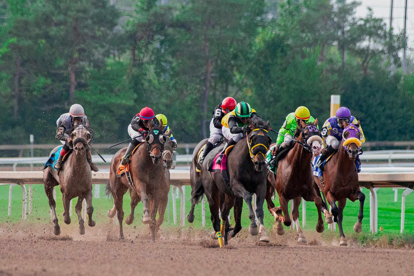 Humps and Thunder: The Thrill of Camel Racing Revealed | by Islahi ...