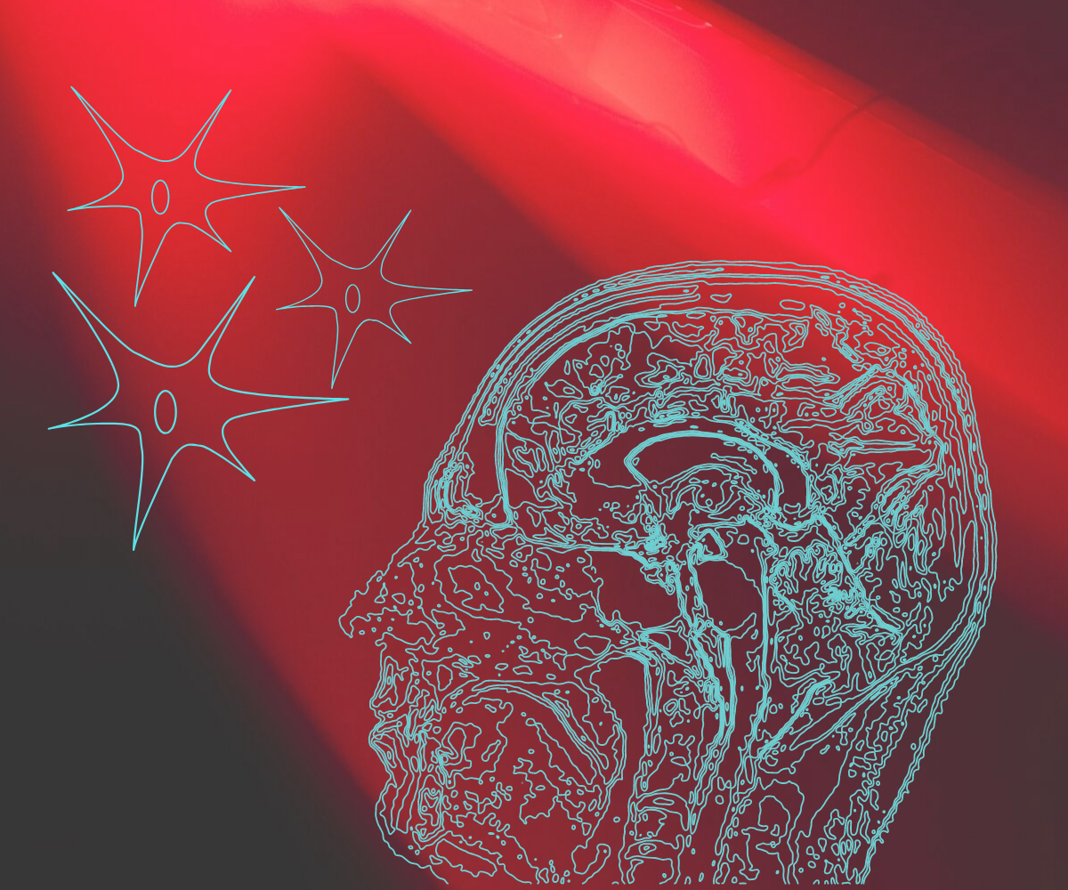Breaking Down the Free-Energy Principle | by Neurotech@Berkeley ...