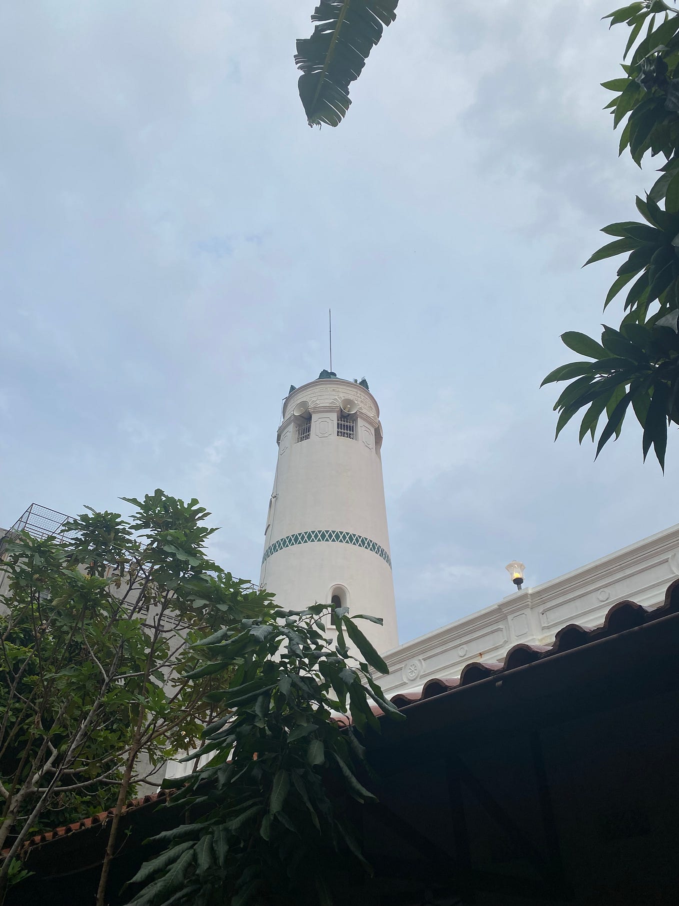 How French Colonialism Shaped and Influenced Vietnam: A Historical ...